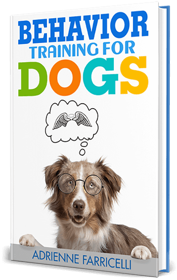 Brain Training for Dogs - | Online Dog Training Program