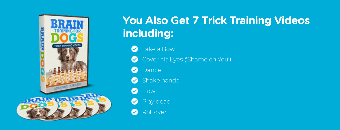 Brain Training for Dogs - | Online Dog Training Program