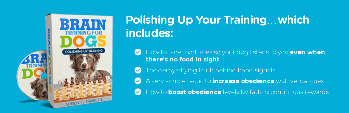 Brain Training for Dogs - | Online Dog Training Program